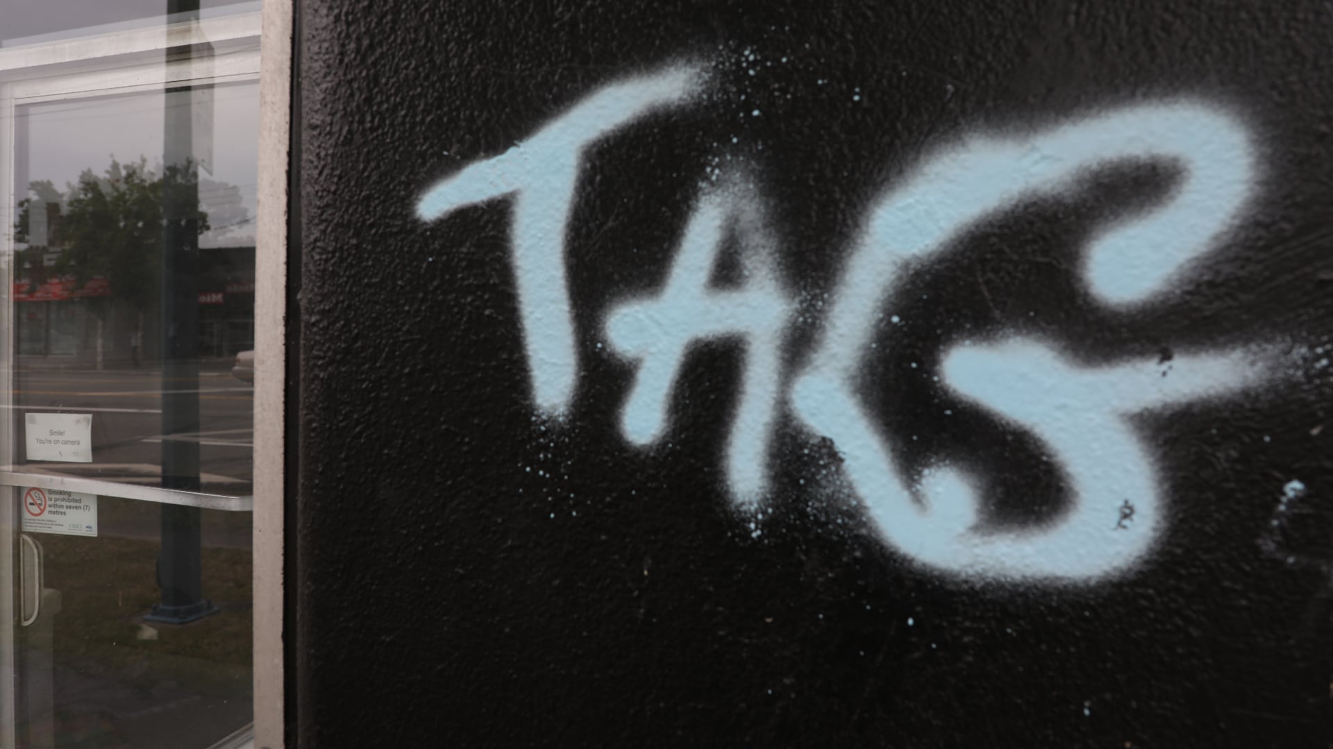 50-50 - David LaRiviere, Artist